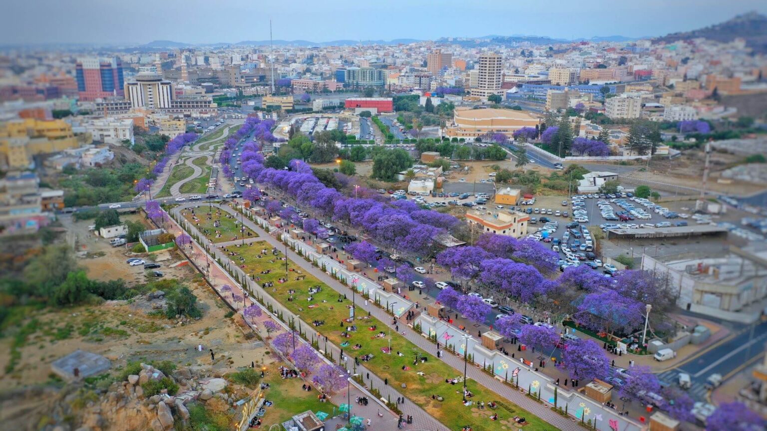 Top Cold Places in Saudi Arabia in Summer - MacQueen